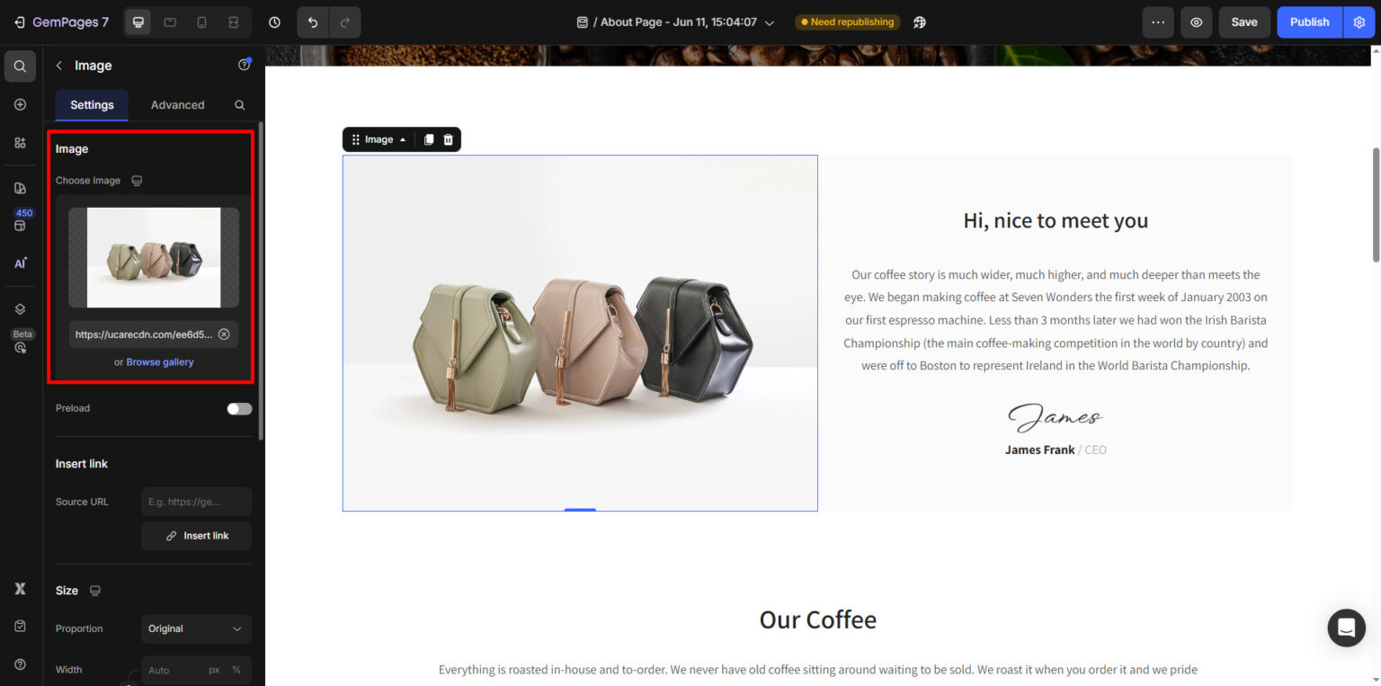 Shopify Logo Guide: Sizes, Design Tips & How to Add It with GemPages ...